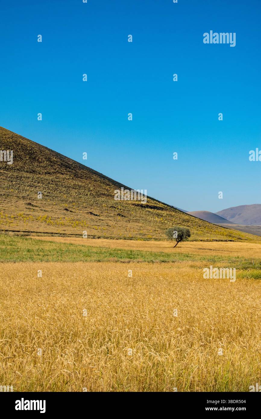 Turkey: the landscape on the dirt road on the plateau around Mount ...