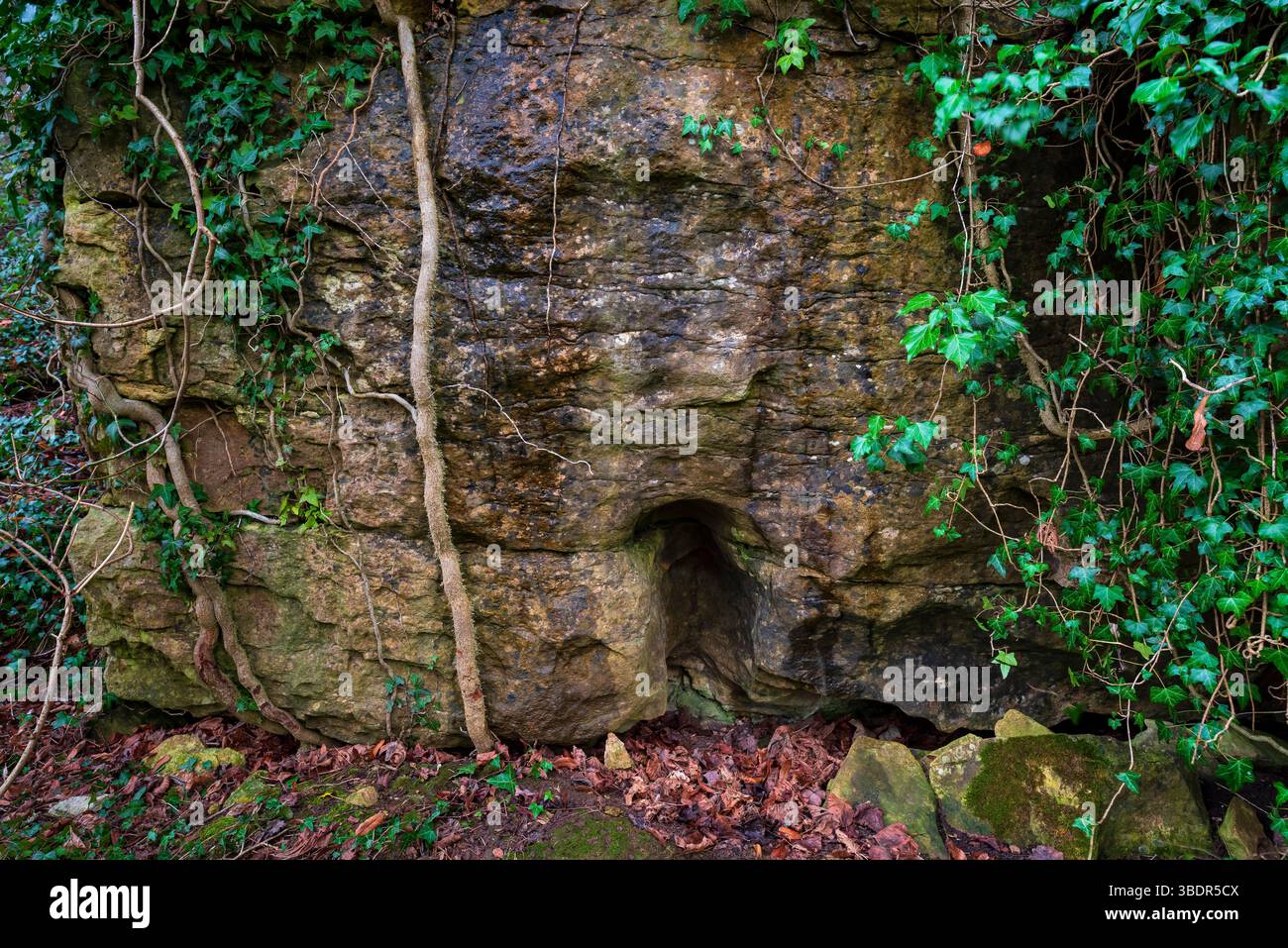Remnant phreatic tube exposed in the limestone outcrop in Anston Stones ...