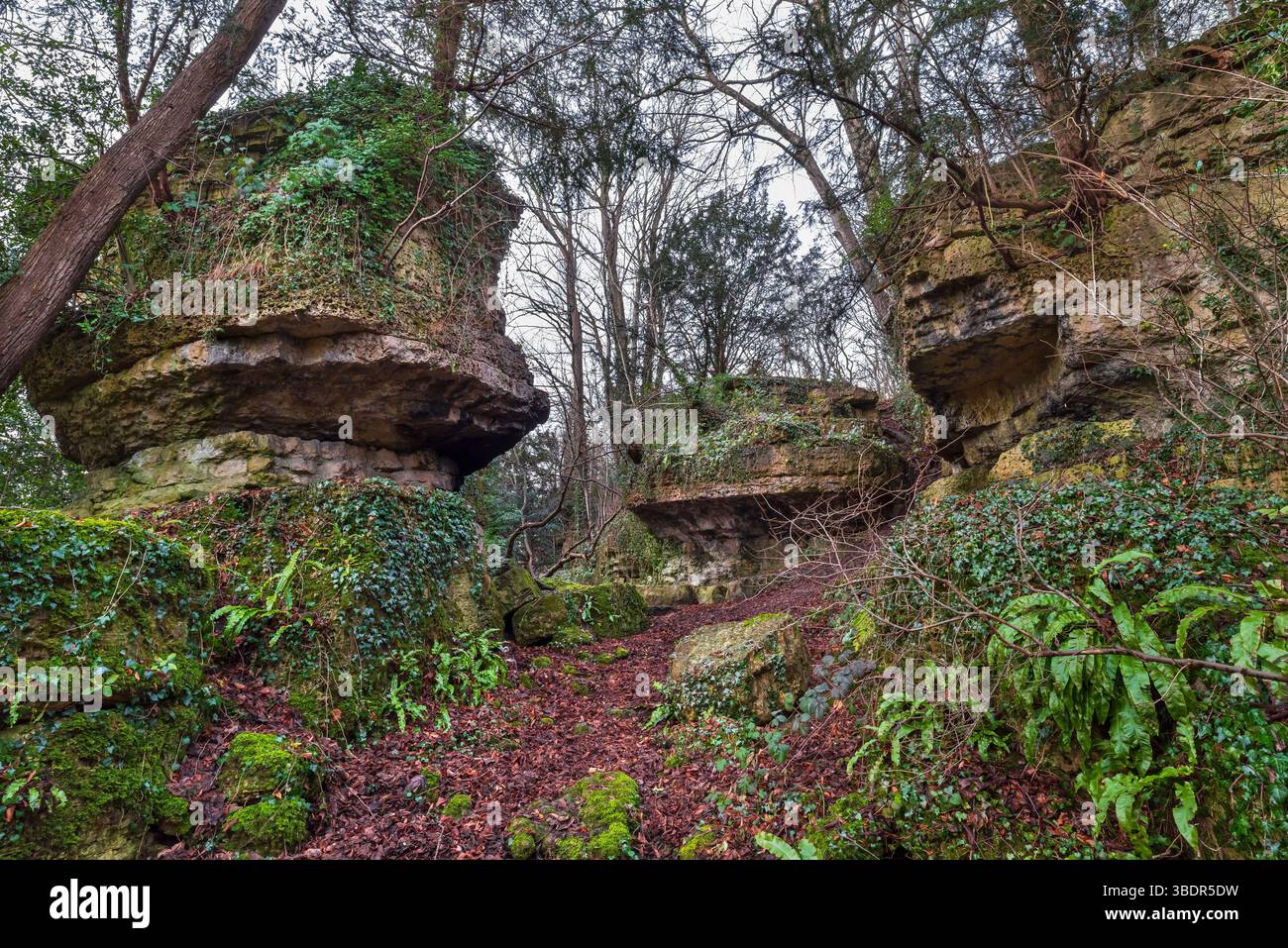 Heavily undercut blocks of limestone, probably once part of a cave ...