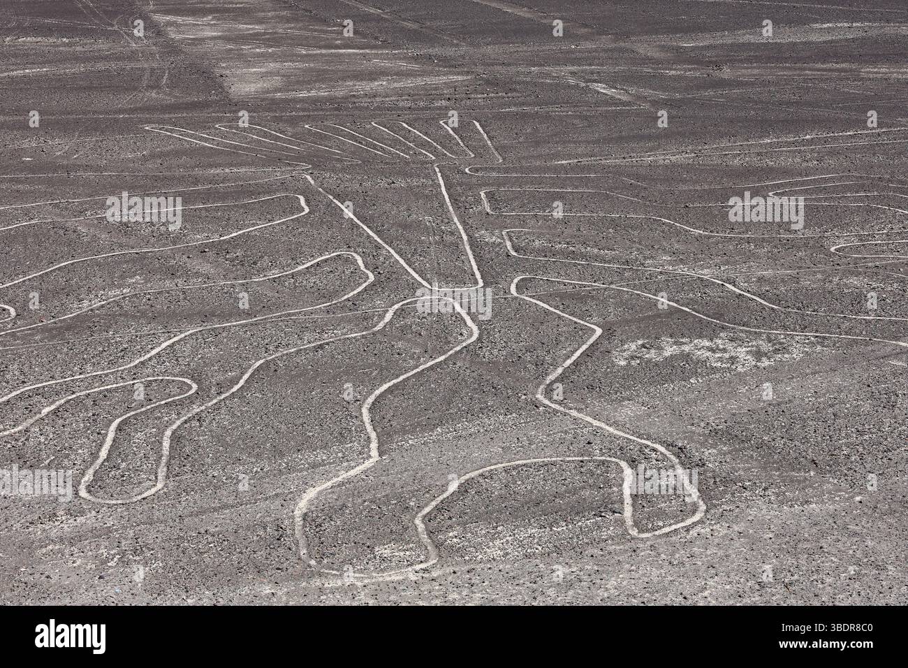 South America Peru Nasca Lines Geoglyph Tree Stock Photo - Alamy
