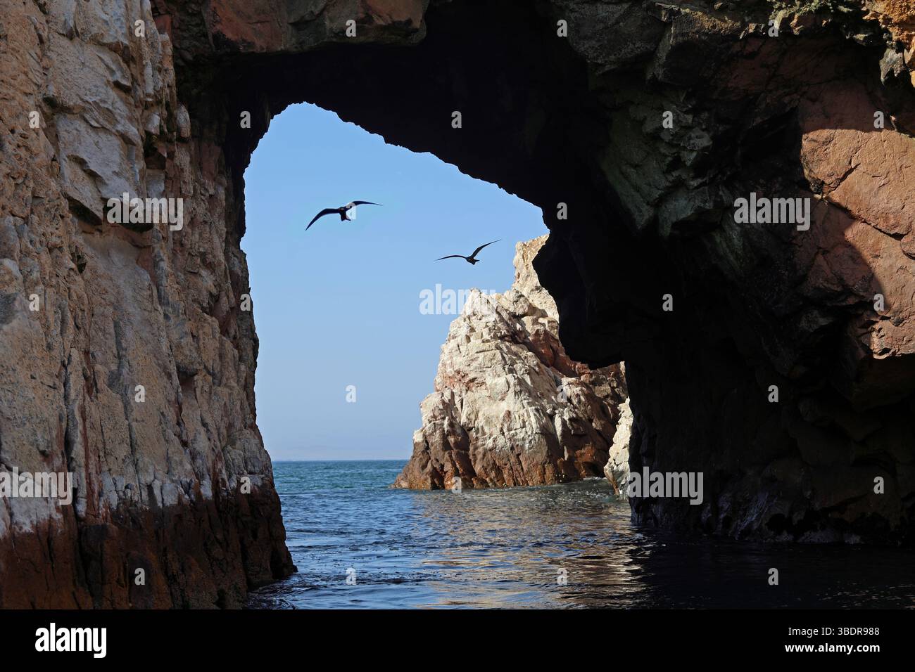 South America Peru Paracas Tour Ballestas Islands Arch Stock Photo - Alamy