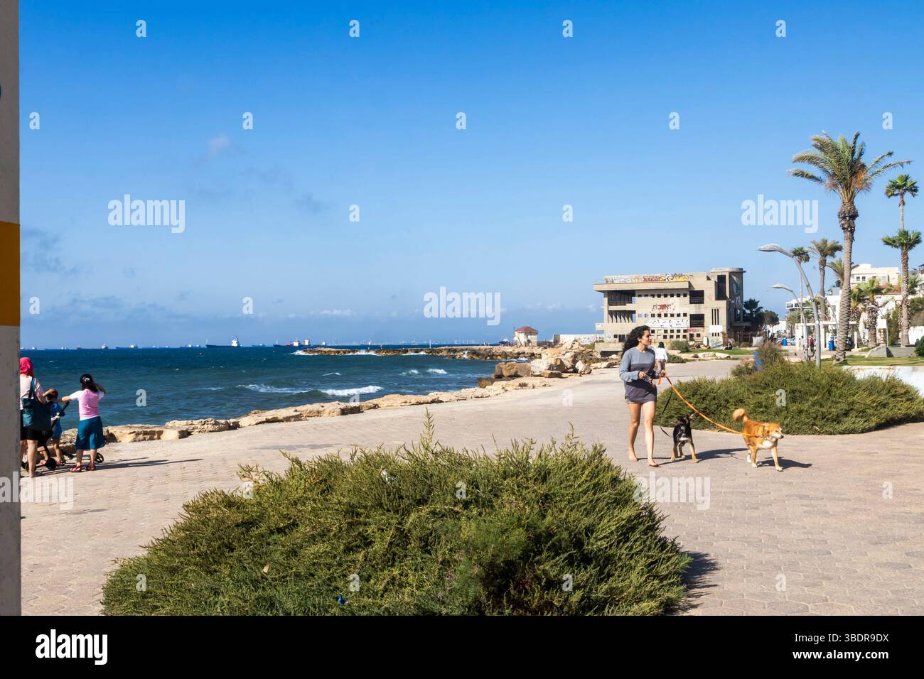 Haifa, Israel – May 24, 2025. A Young Woman Walks Her Dogs on Bat Galim ...