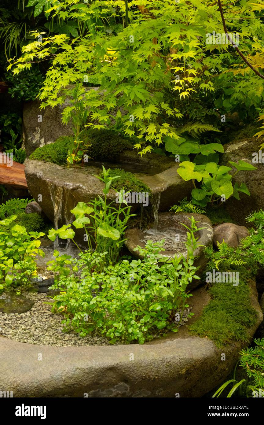 Secret Base - Another Green Room, a container garden designed by Jun ...