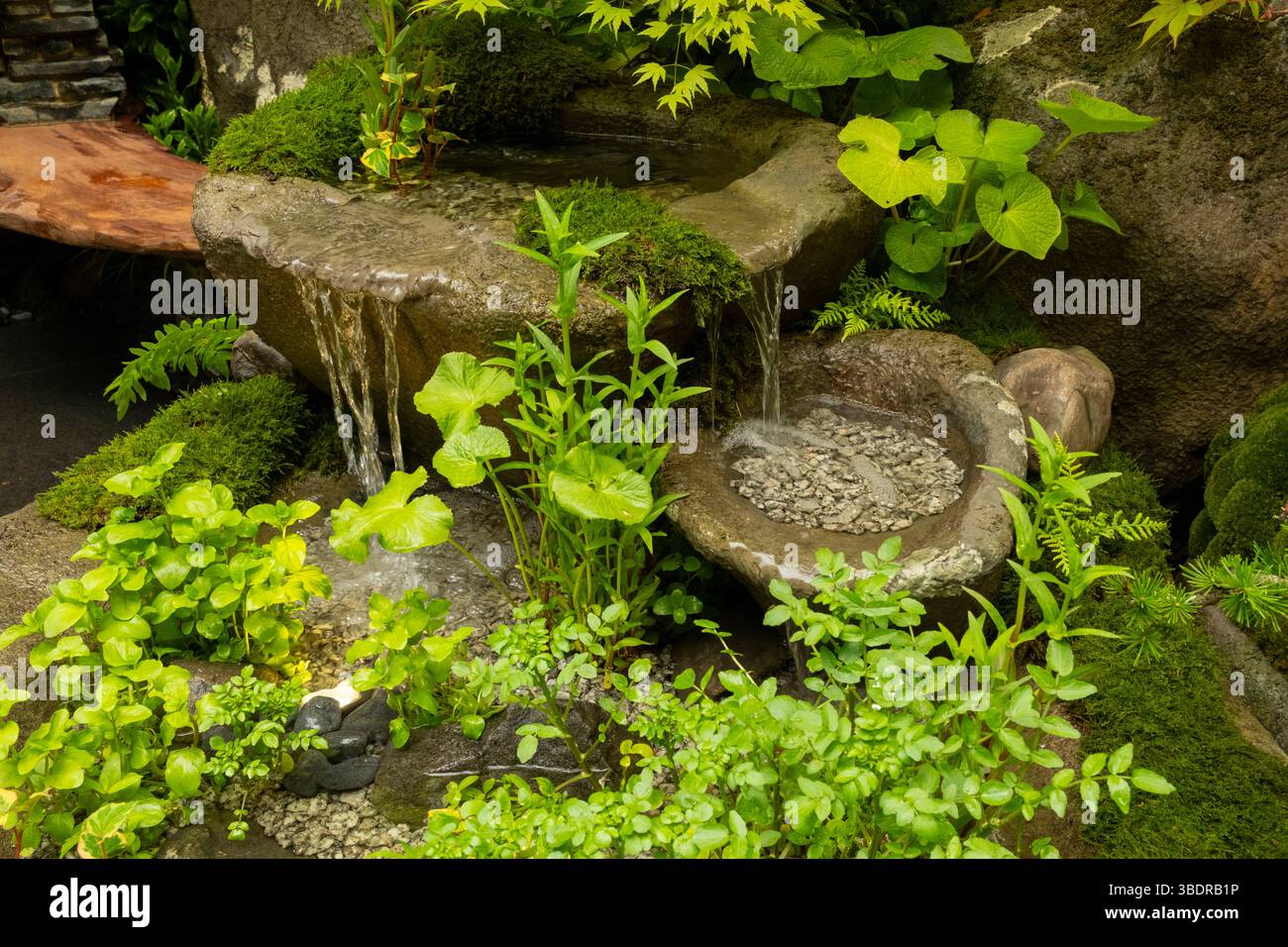 Secret Base - Another Green Room, a container garden designed by Jun ...
