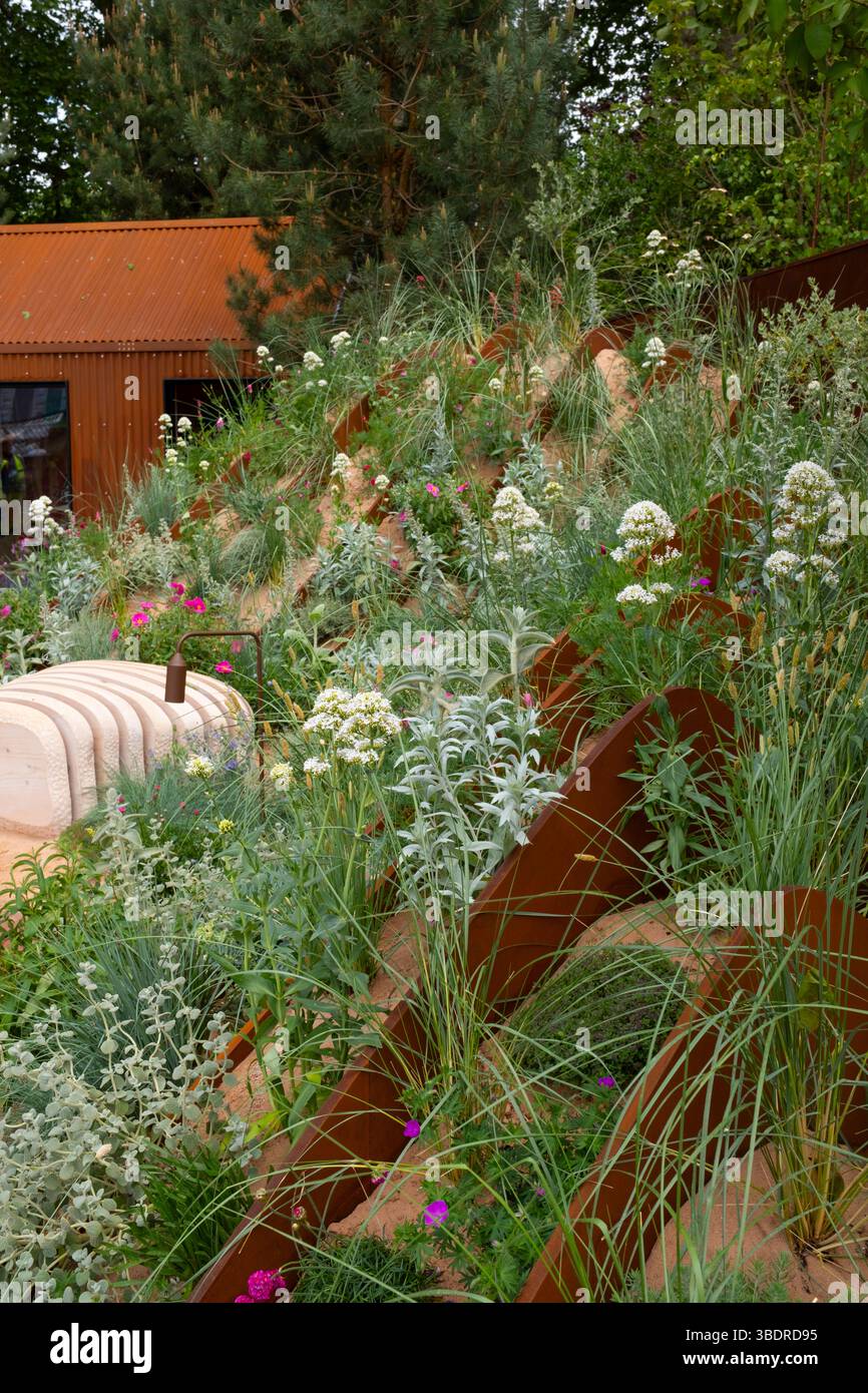 Timber 'fins' supporting sand dunes covered with drought resistant ...