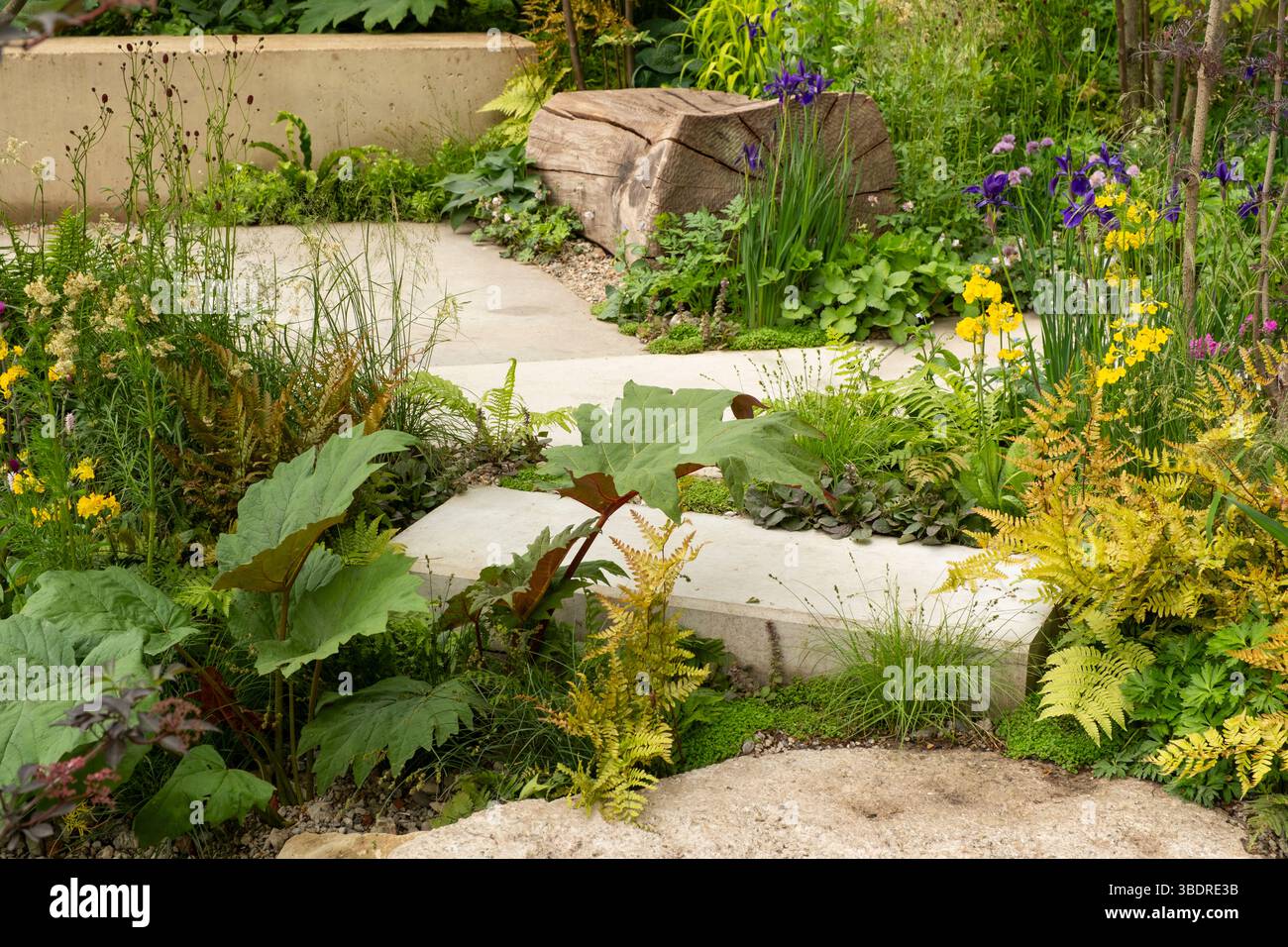 The Avanade Intelligent Garden designed by Tom Massey and Je Ahn at the ...