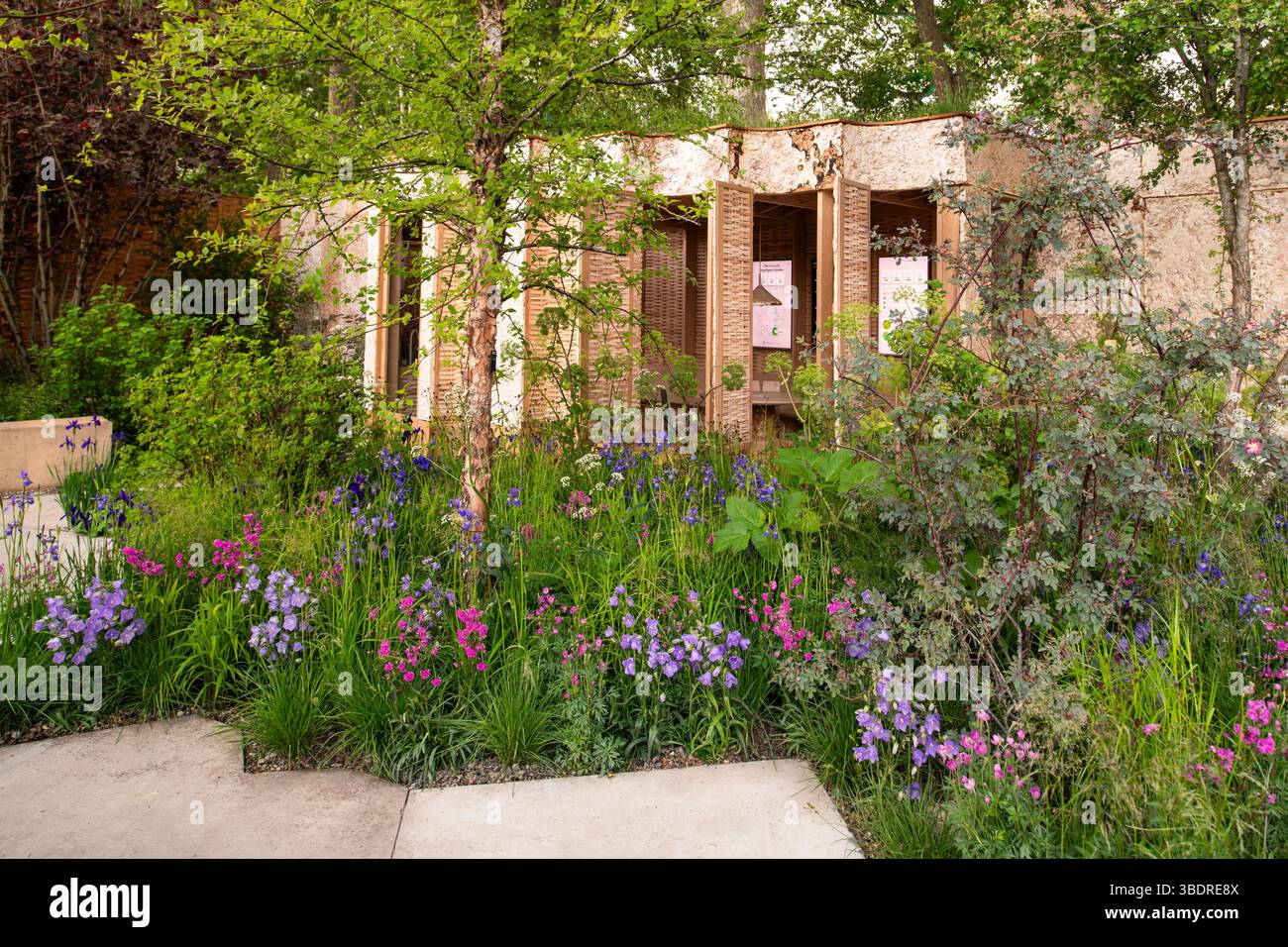 A pavilion contstructed from diseased Ash timber and wood pulp panels ...