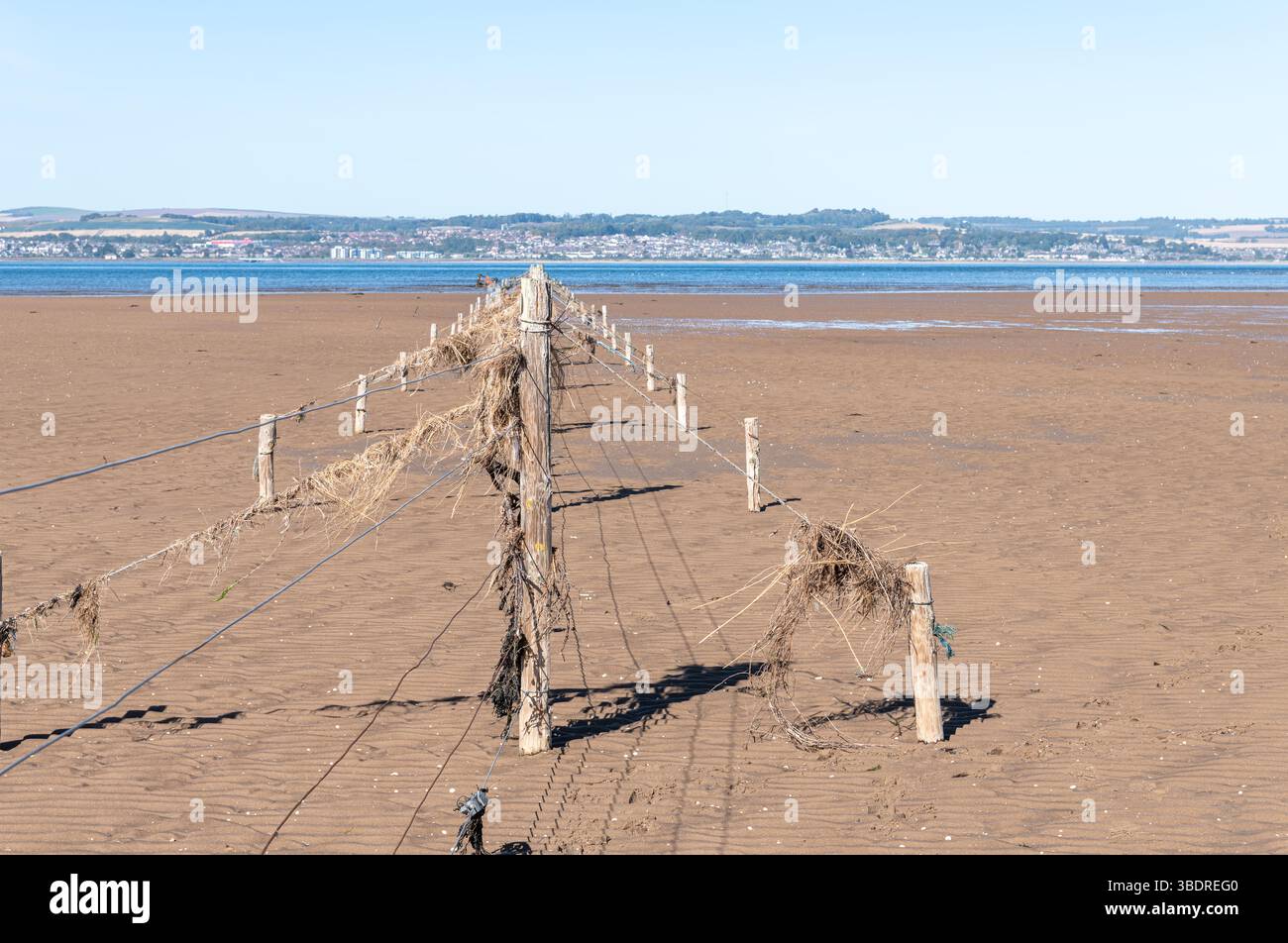 Tidal Animal fence on Headwell Sands, Tentsmuir Point, Tayport, Fife ...