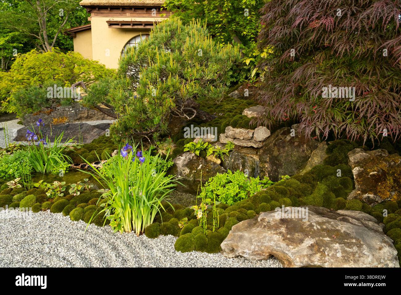 Cha no Niwa - Japanese Tea Garden designed by Kazuyuki Ishihara winner ...