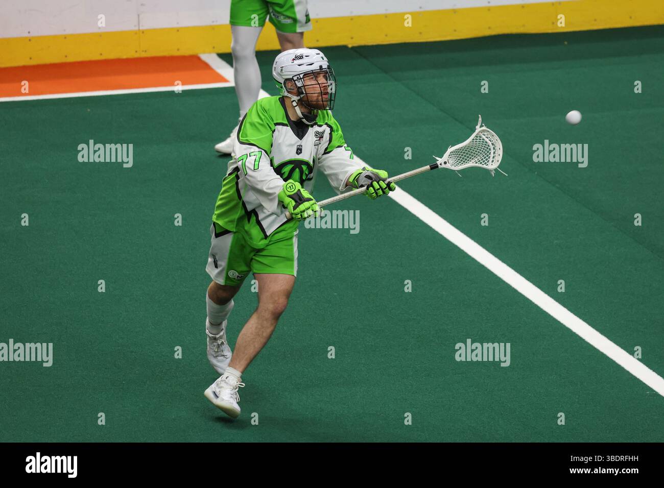 Buffalo, New York, USA. 24th May, 2025. Saskatchewan Rush forward Ryan ...