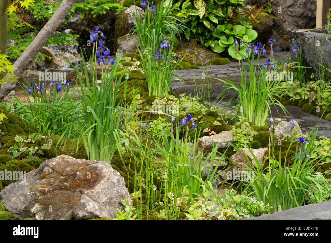 Cha no Niwa - Japanese Tea Garden designed by Kazuyuki Ishihara winner ...