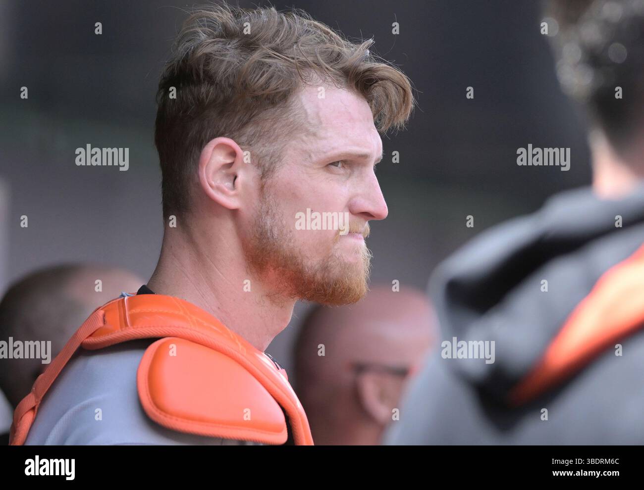 WASHINGTON, DC - MAY 25: San Francisco Giants catcher Sam Huff (23 ...