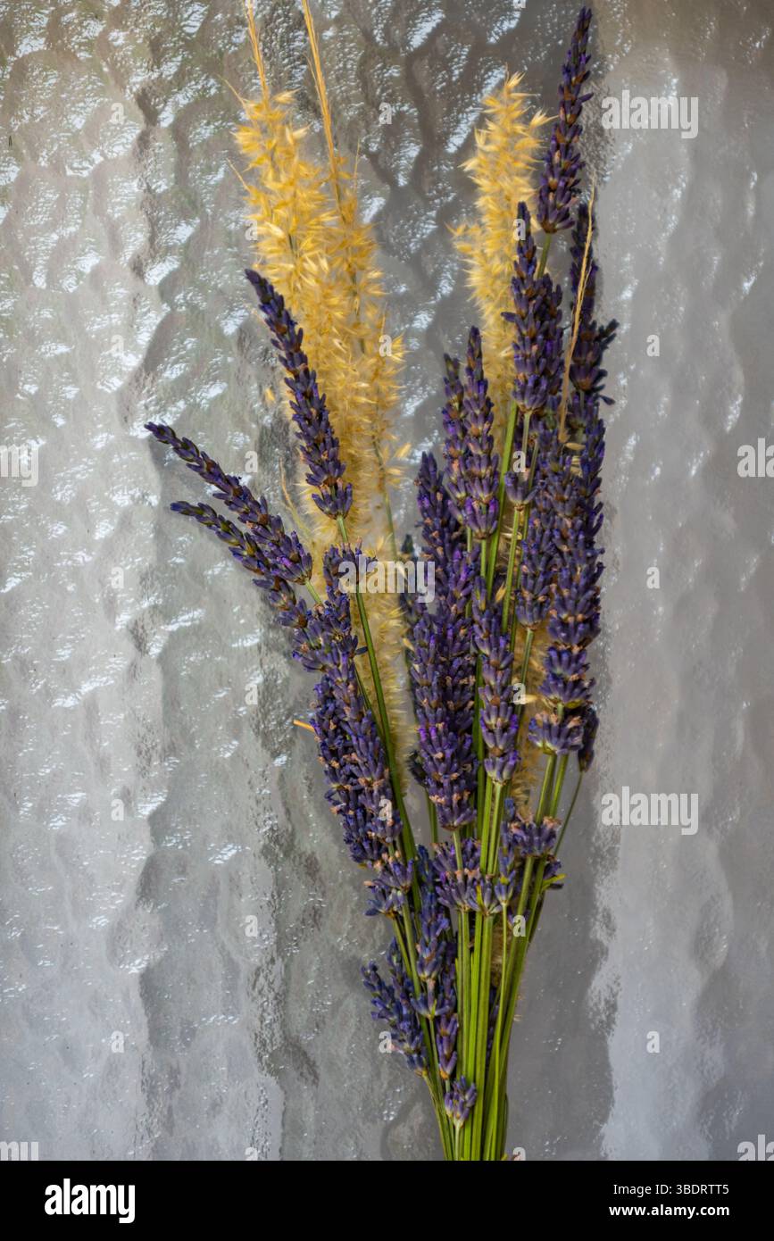 Beautiful Lavender and Grass Bouquet from Provence, France Stock Photo ...