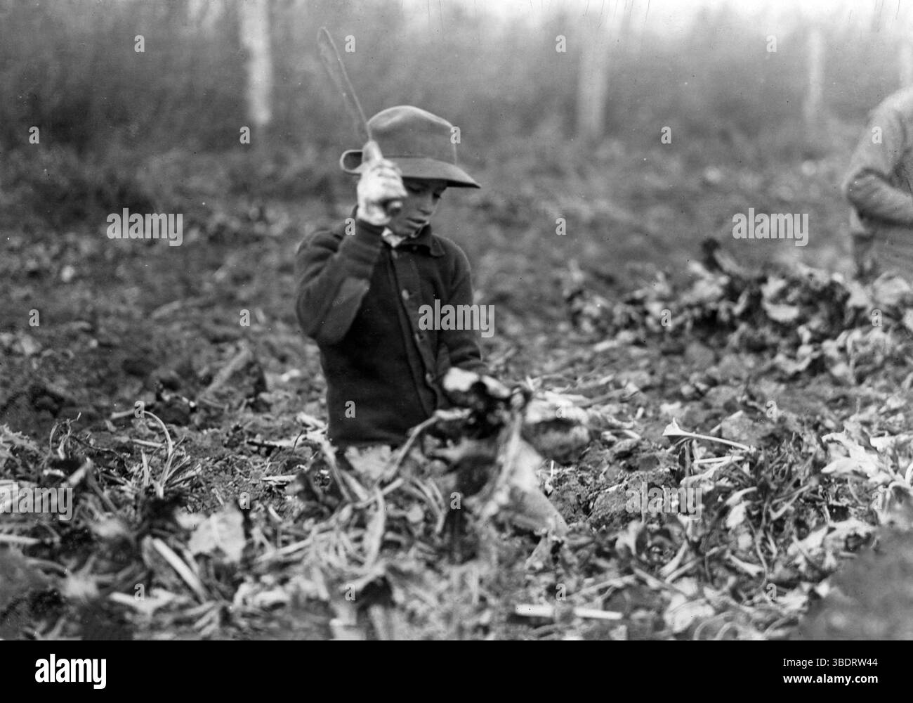 Child labourer working in Black and White Stock Photos & Images - Alamy