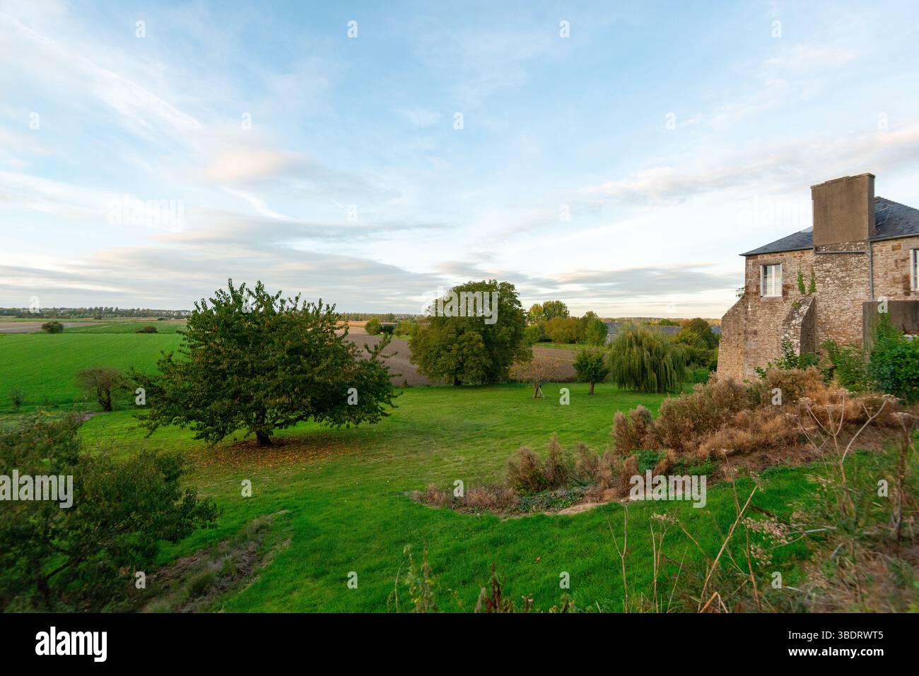 Typical Normand house with its garden, apple trees, weeping willow ...