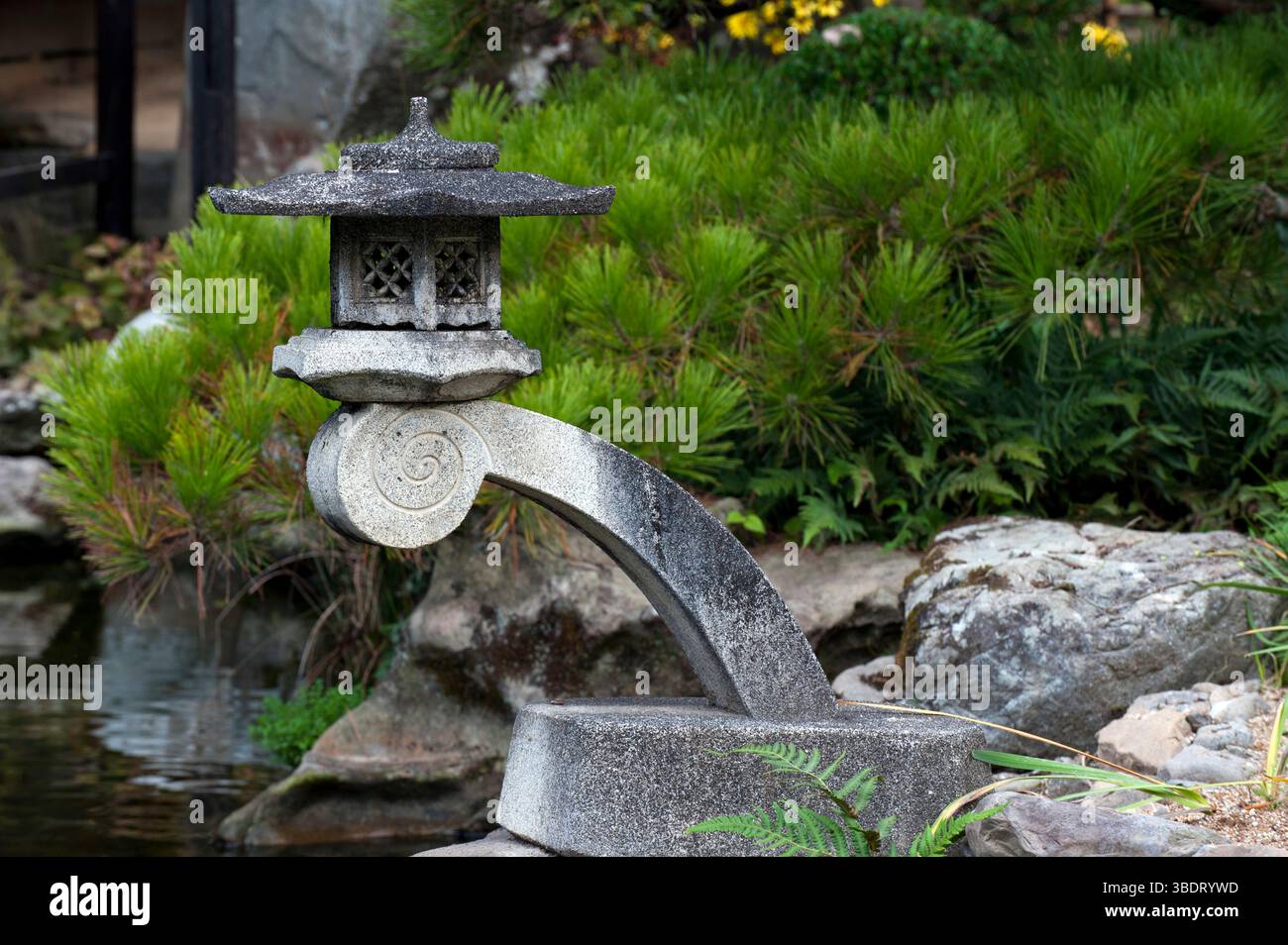 A "rankei gata" style ishidoro (stone lantern) beside a delicate matsu ...