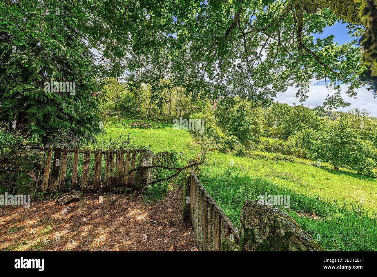 Castro Laboreiro, Portugal 05-02-2024: Small historic dwellings outside ...