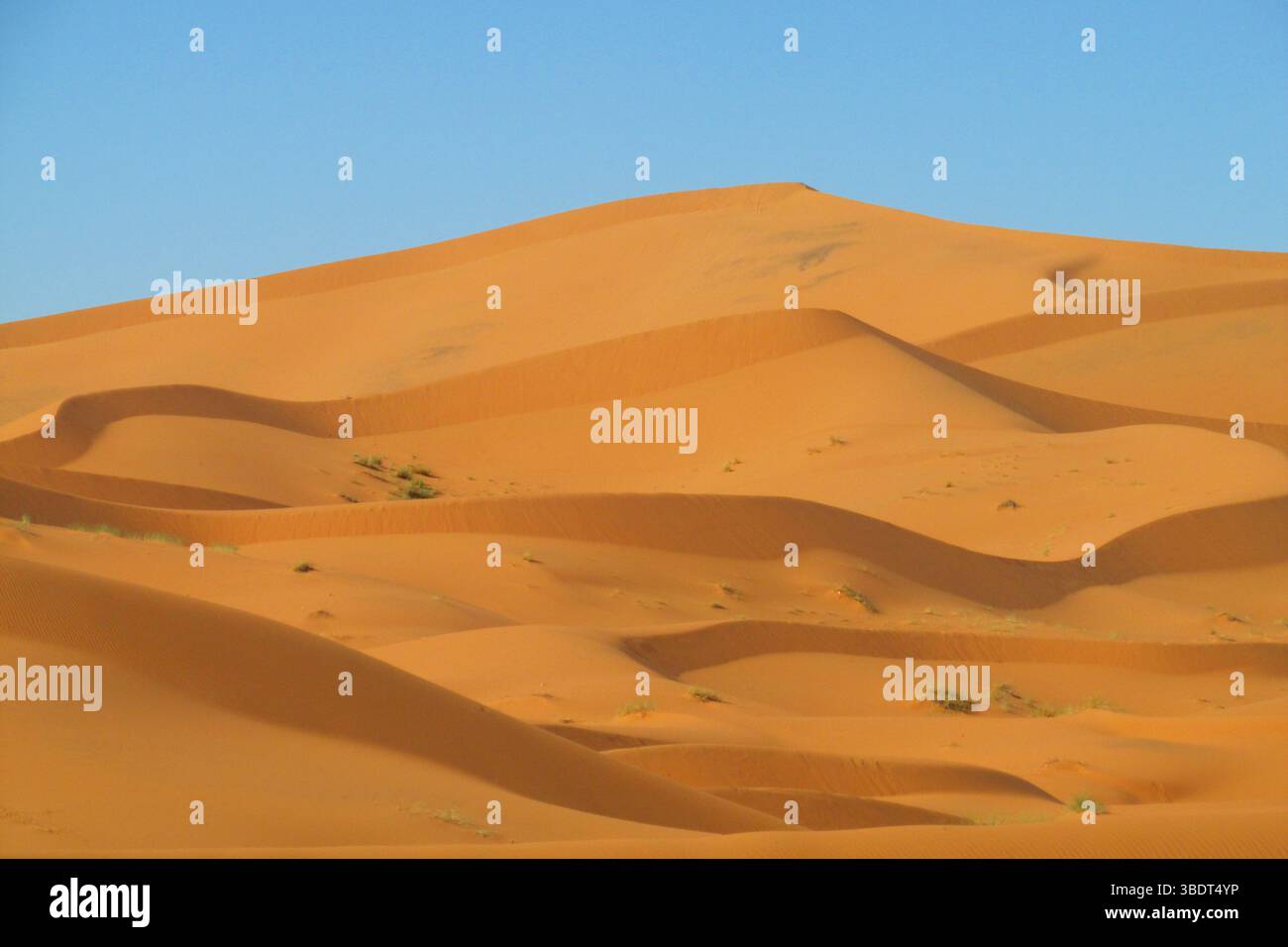 Beautiful sand desert dune in Sahara. High sand dunes in the biggest ...