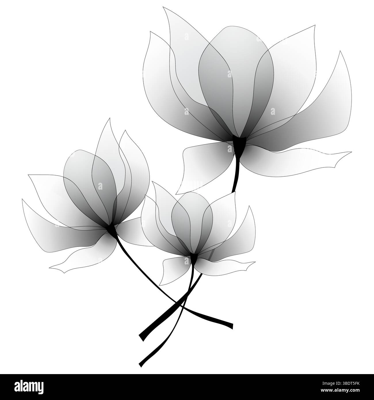 Illustration of flower cluster Stock Vector Images - Alamy