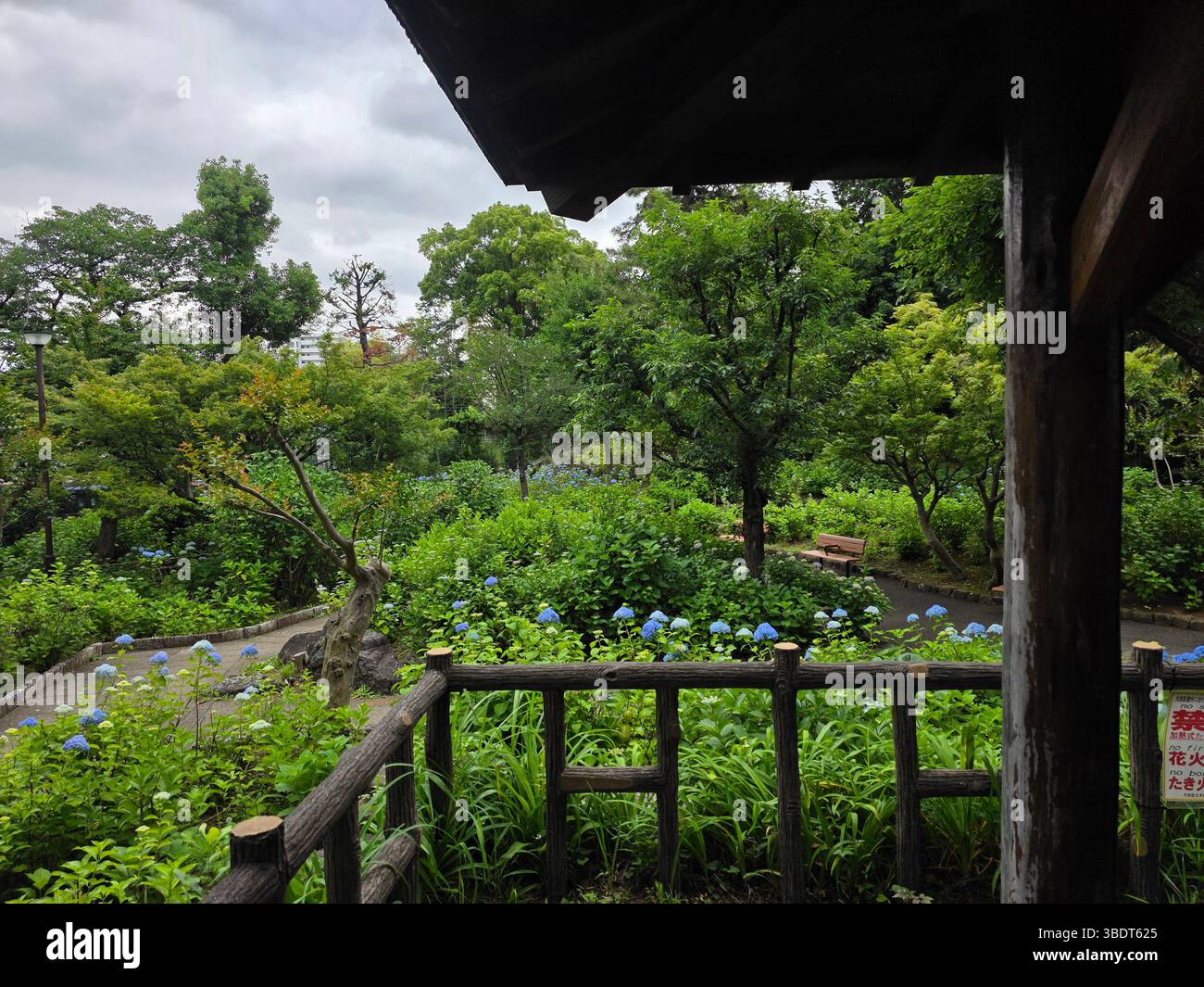 Walking Around Japanese Park and Gardens Stock Photo - Alamy