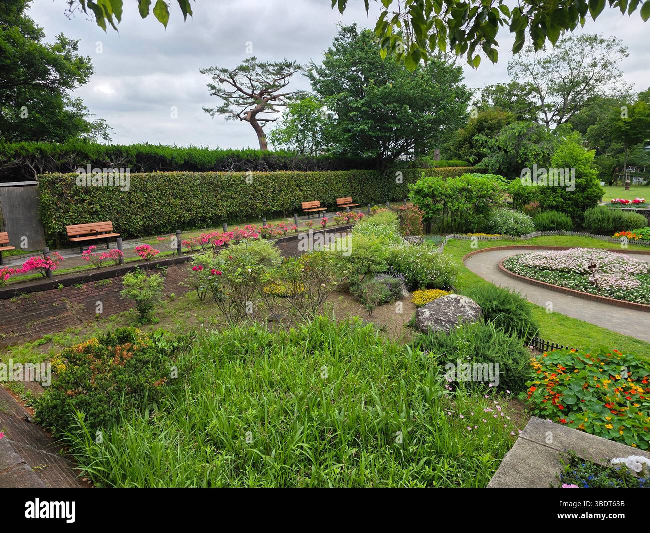 Walking Around Japanese Park and Gardens Stock Photo - Alamy