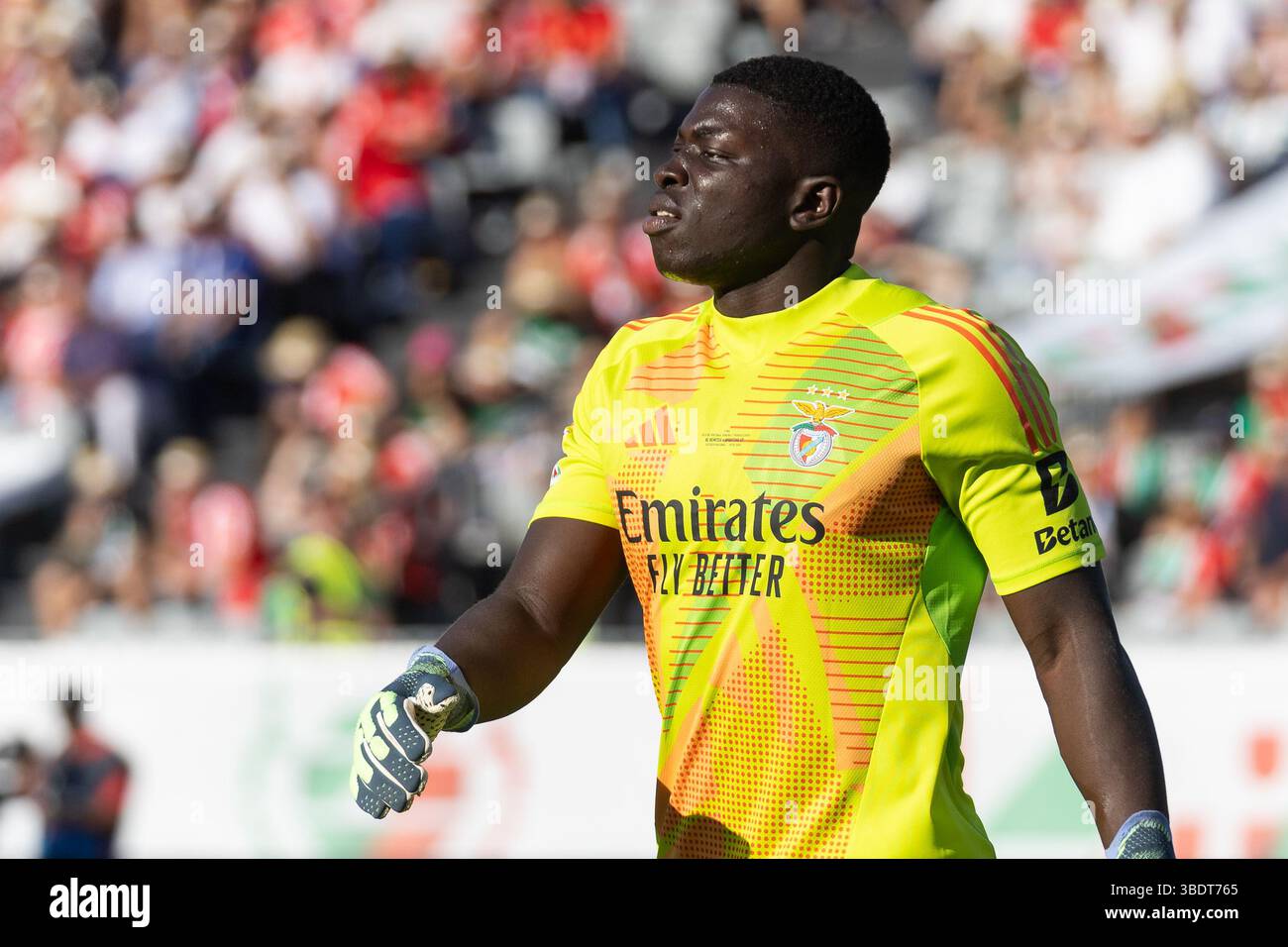 May 25, 2025. Caxias, Portugal. Benfica goalkeeper from Portugal SAMUEL ...