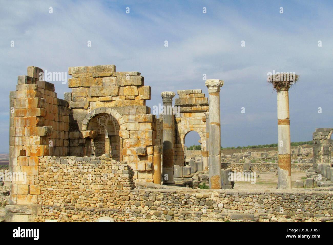 Volubilis town in Morocco. Ancient town ruins, famous touristic sight ...