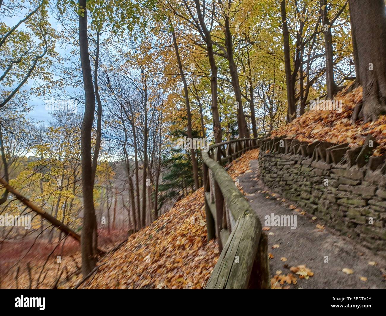 A quiet forest trail with a wooden fence winds through the lush ...
