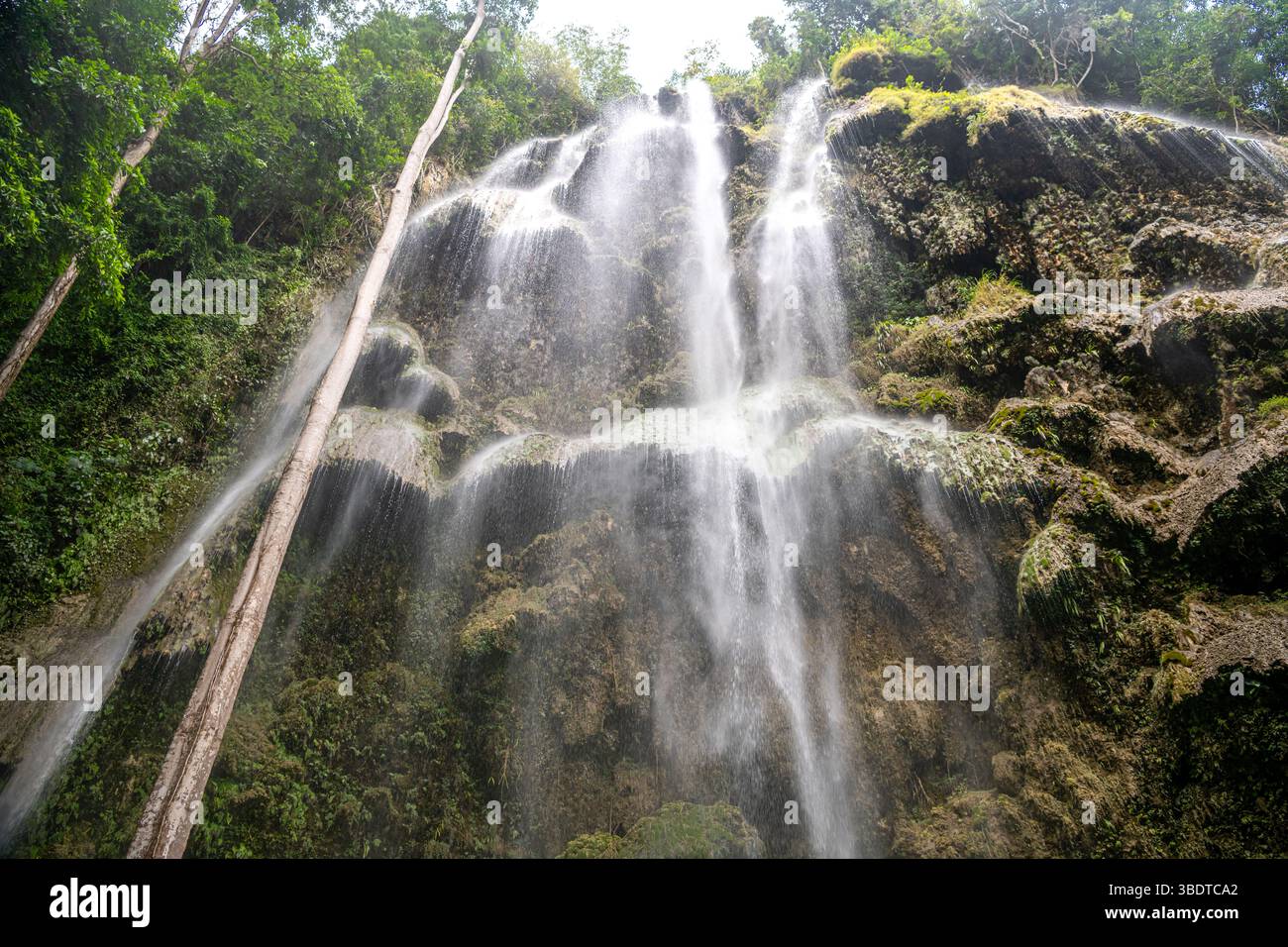 Waterfall flowing on mossy ledges hi-res stock photography and images ...