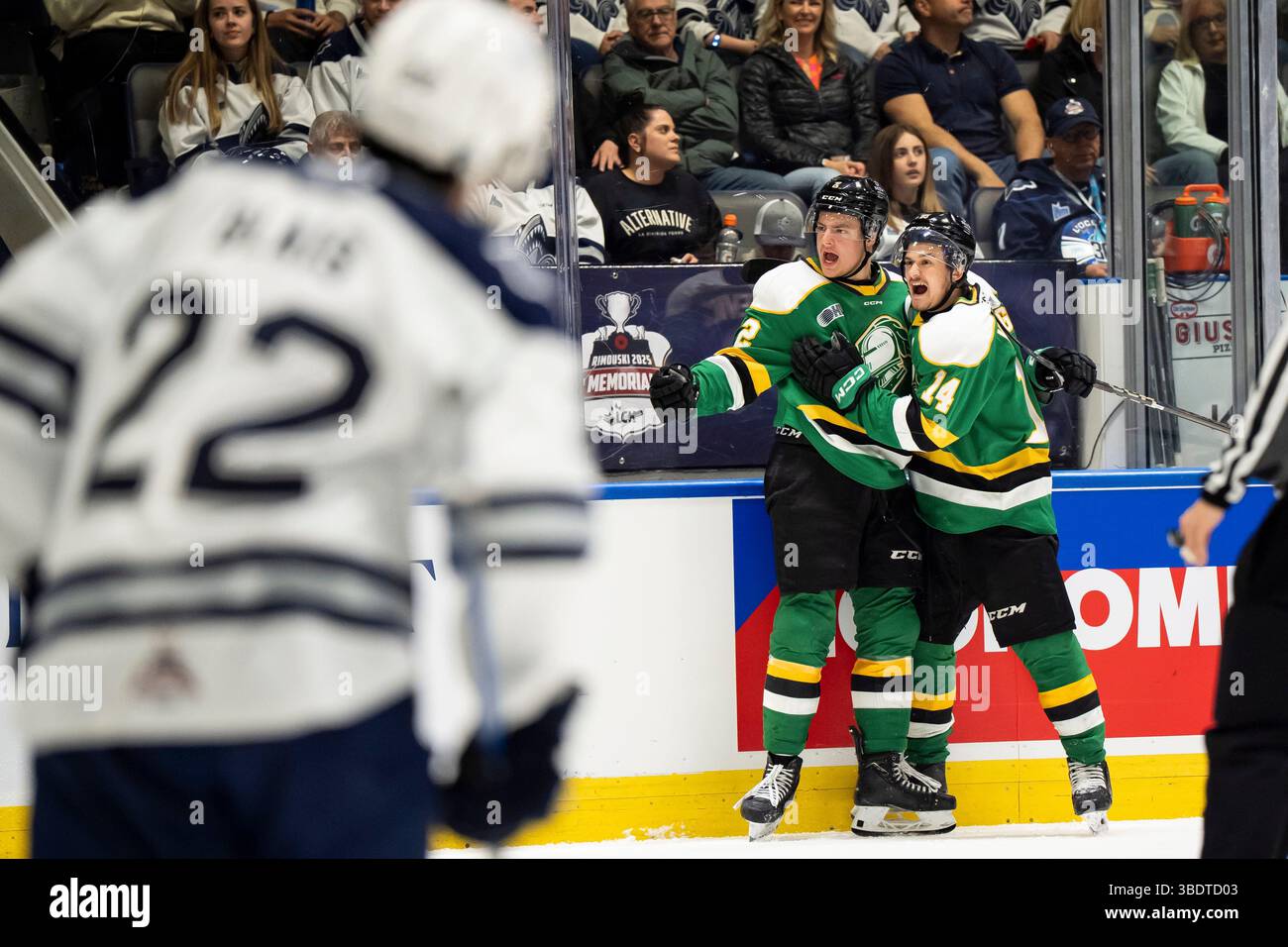 Rimouski, Canada. 25th May, 2025. London Knights' Henry Brzustewicz (2 ...