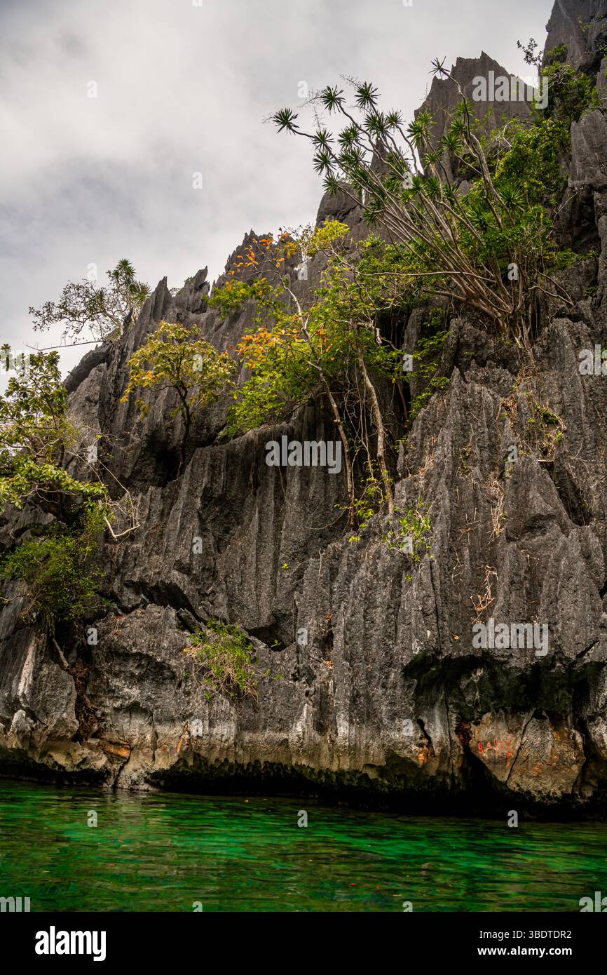 Famous Limestone rocks of Coron island Busuanga Palawan Philippines ...