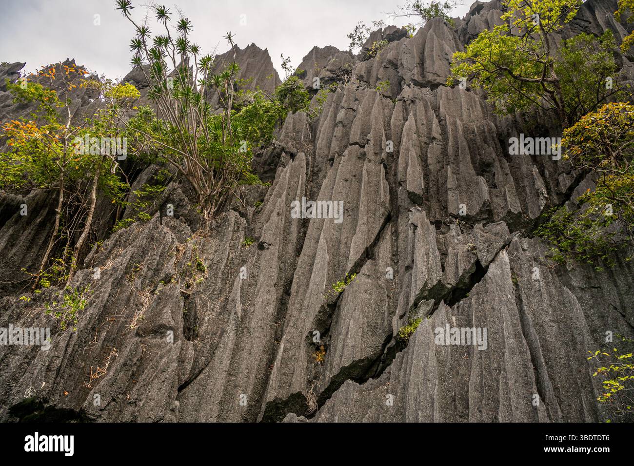 Close up on the sharp black limestone cliffs of Coron, Palawan ...