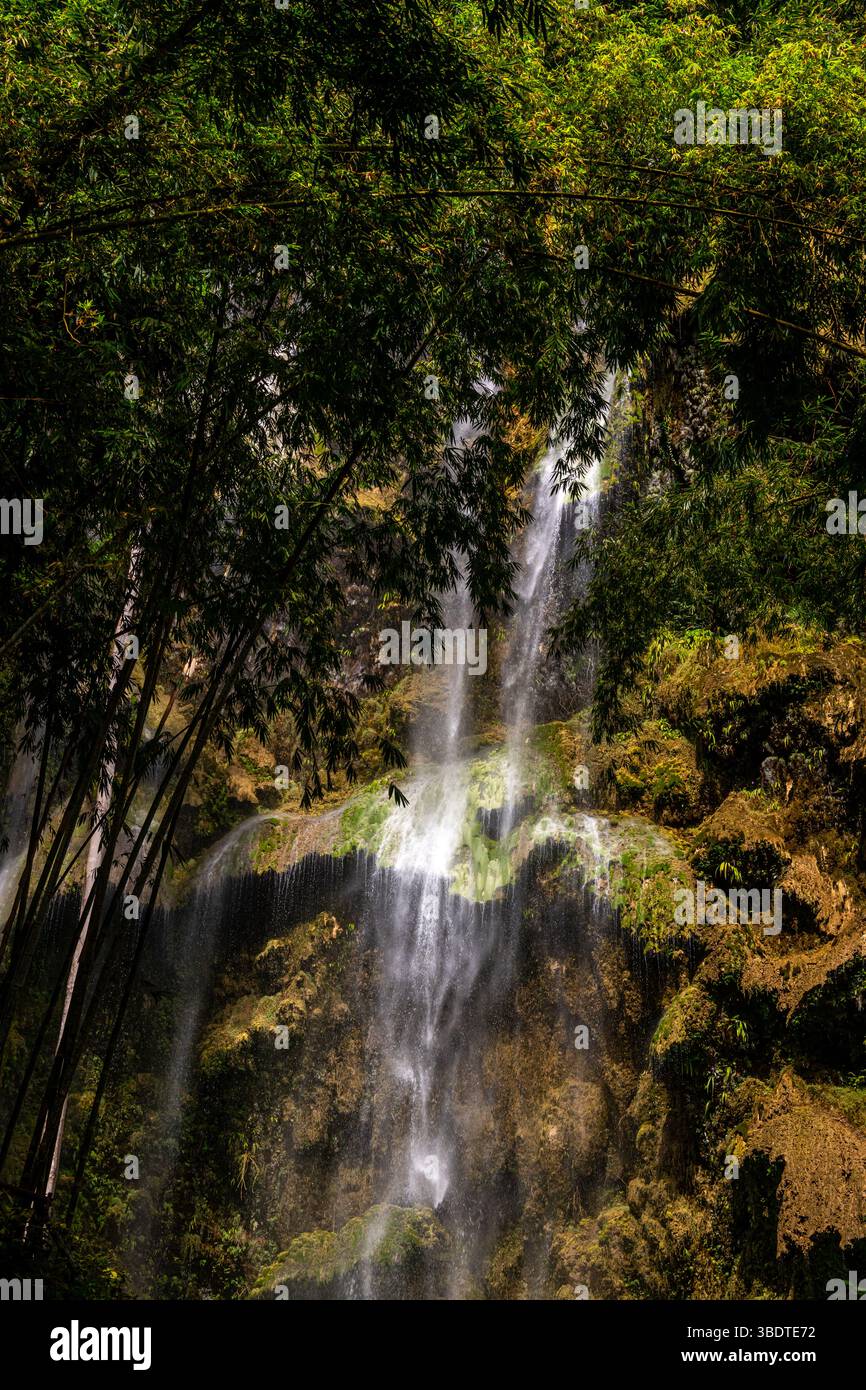 An unusual tropical waterfall. Thin streams of water flow down the ...