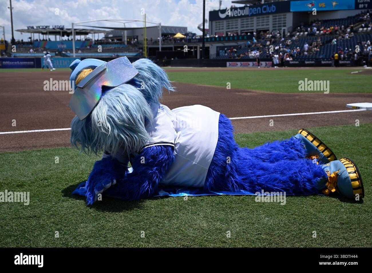 Tampa Bay Rays mascot Raymond lies on the field before a baseball game ...