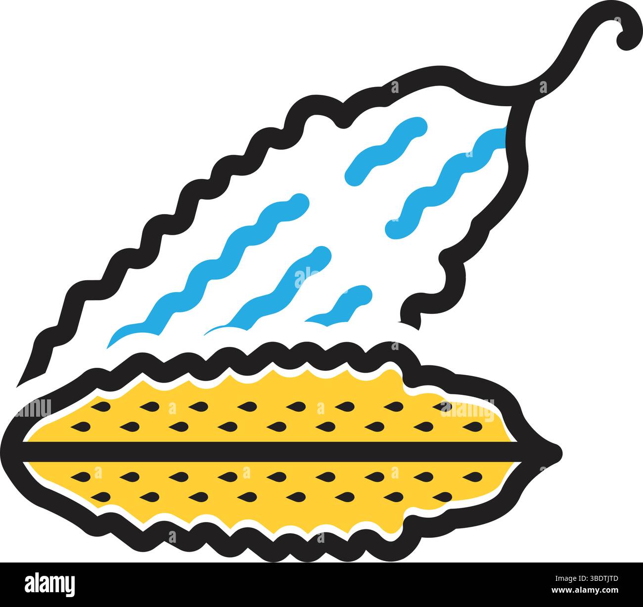 Bitter gourd vector Stock Vector Images - Alamy