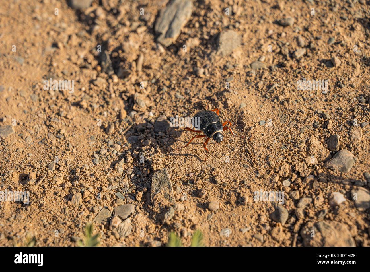 Cracked earth on black hi-res stock photography and images - Alamy