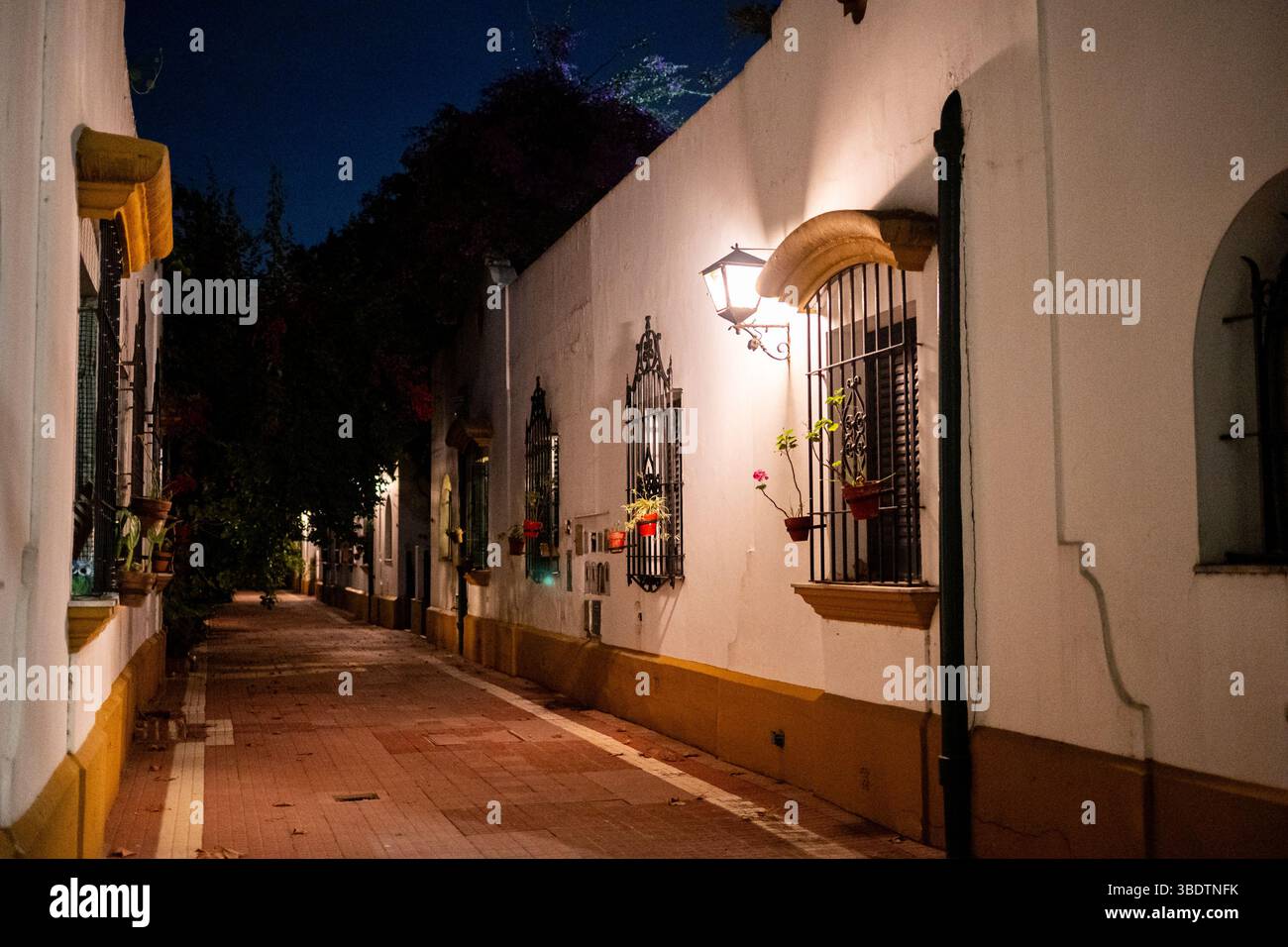 Residential buildings alley trees hi-res stock photography and images ...