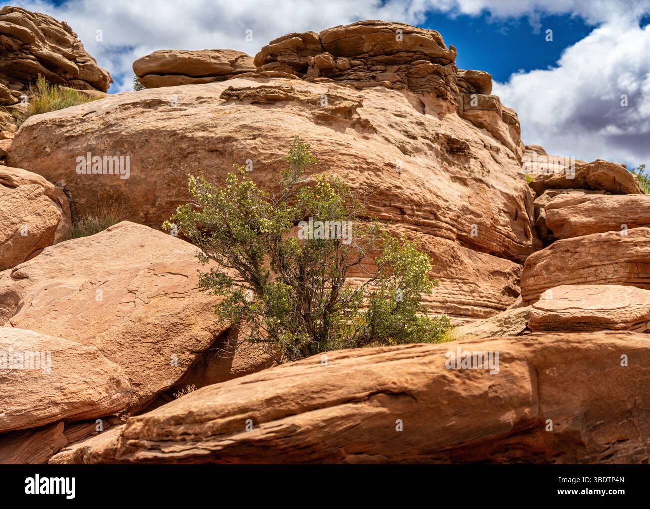 Utah, United States Stock Photo - Alamy