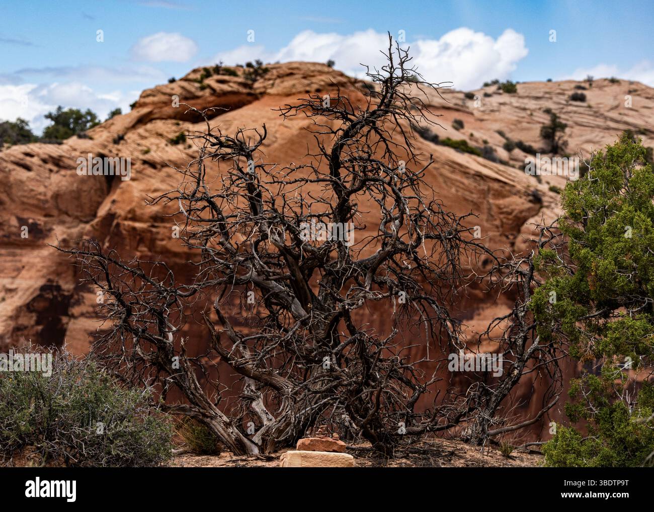 Utah, United States Stock Photo - Alamy