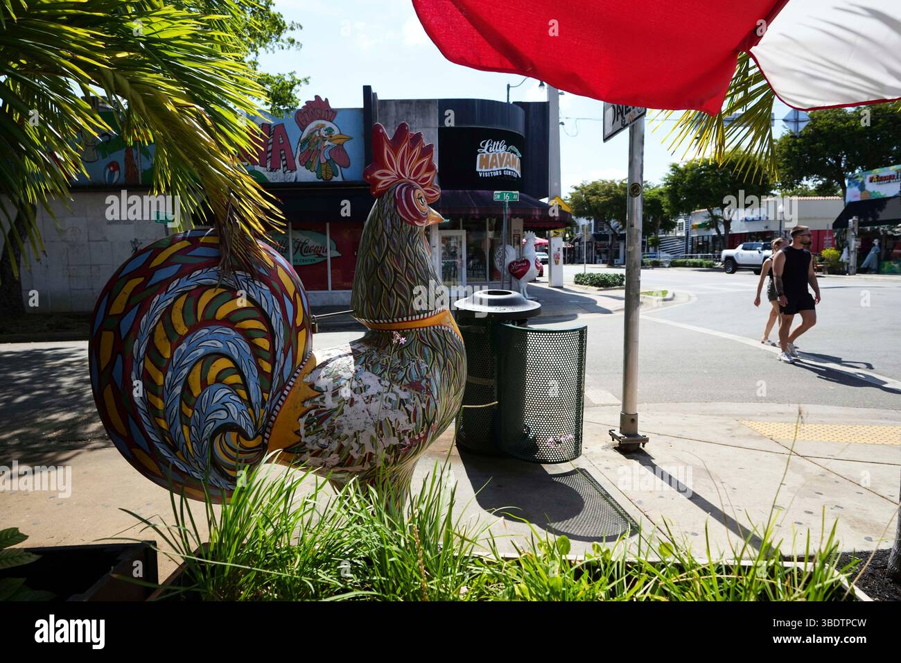 A sculpture of a rooster is displayed on Calle Ocho in the Little ...