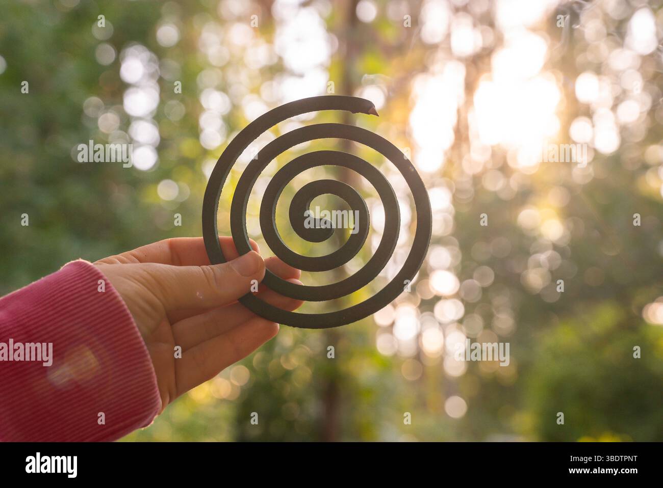 Smoldering mosquito coil spiral insect repellent mosquito insecticide ...