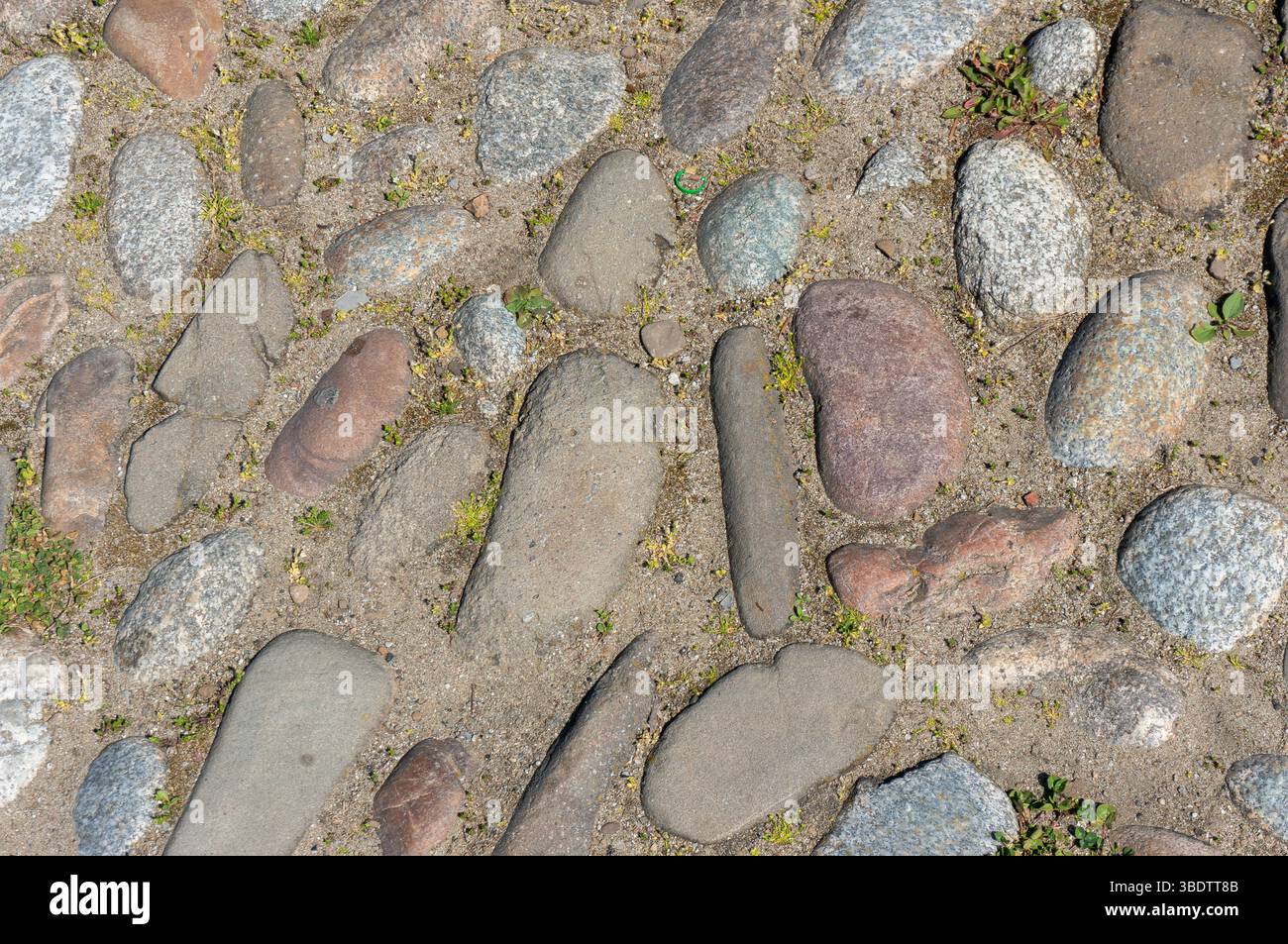 Cobbled Market Square (surface underfoot), cobblestones. Stary Sącz ...