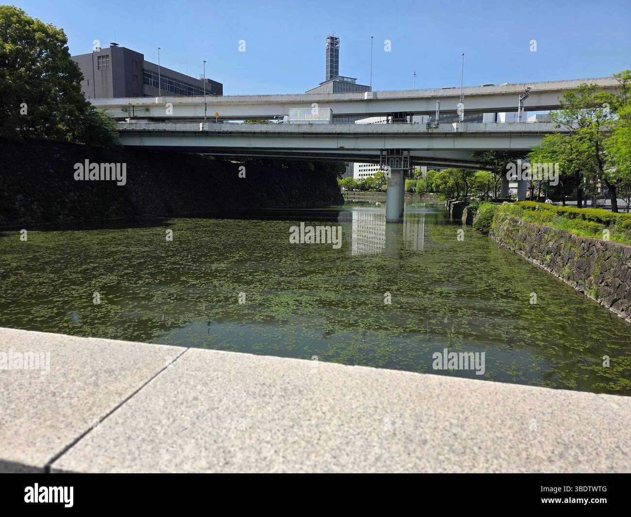 Green streamside hi-res stock photography and images - Alamy