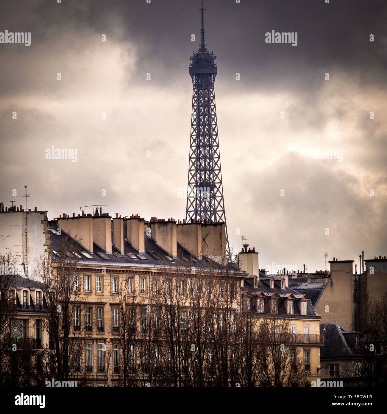 With a dramatic overcast sky, the Eiffel Tower rises impressively above ...