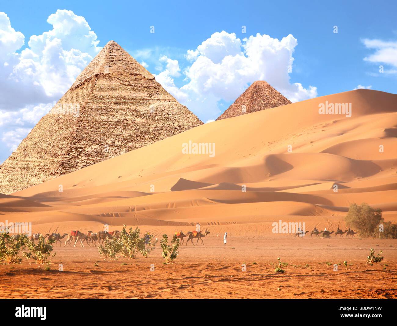Tourists on train of camels in desert and Great Pyramids, Cairo, Egypt ...