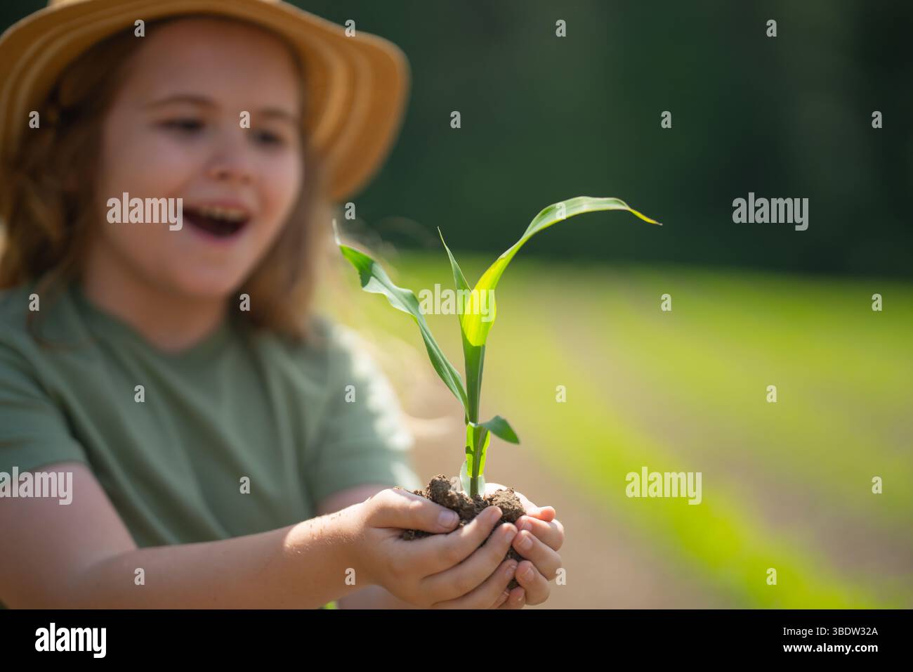 Child planting sprout in soil. Kid holding corn sprout in hand. Young ...