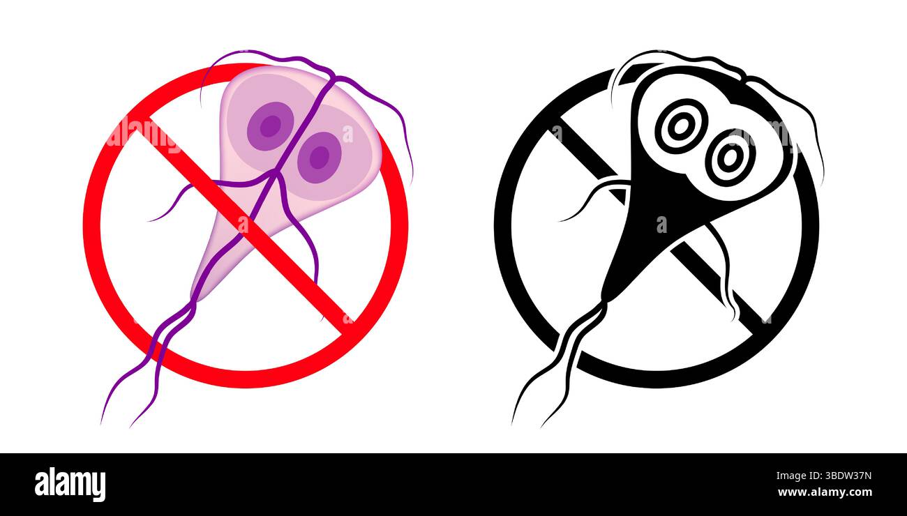 Giardia lamblia cyst Stock Vector Images - Alamy