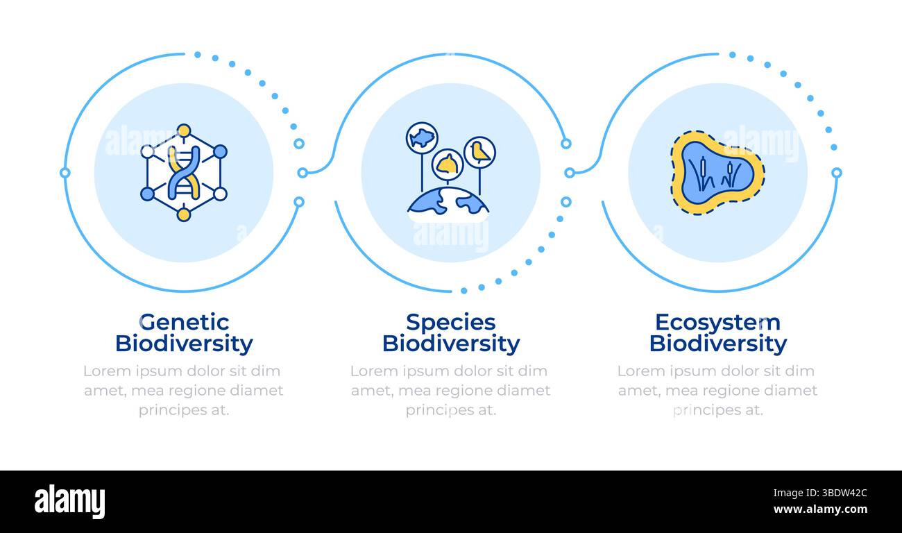 Types of biodiversity infographic 3 steps Stock Vector Image & Art - Alamy