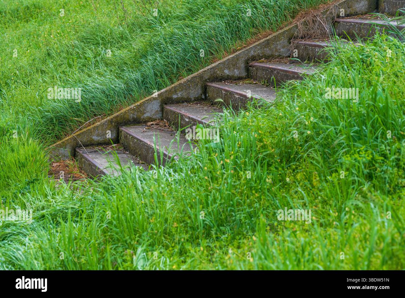 Balance between nature and structure hi-res stock photography and images - Alamy