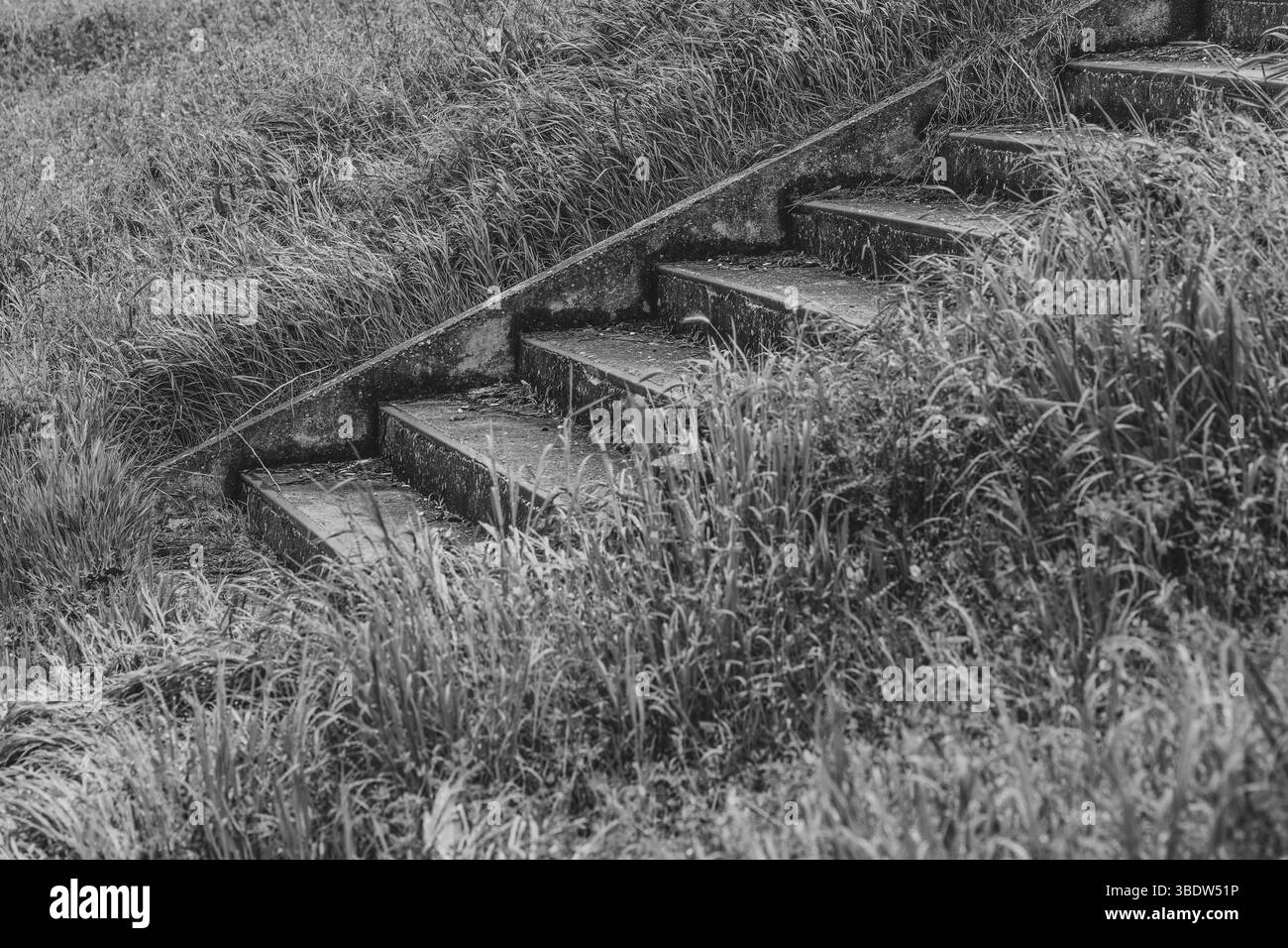 Step fall Black and White Stock Photos & Images - Alamy